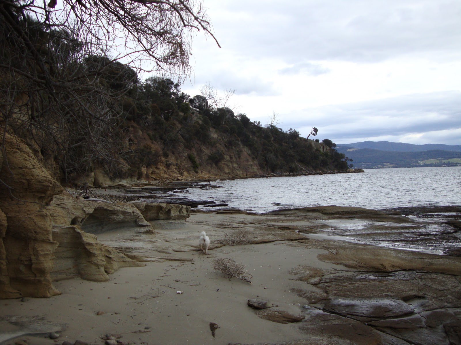 Tasmania-bound: “Manifold Gifts of Place”