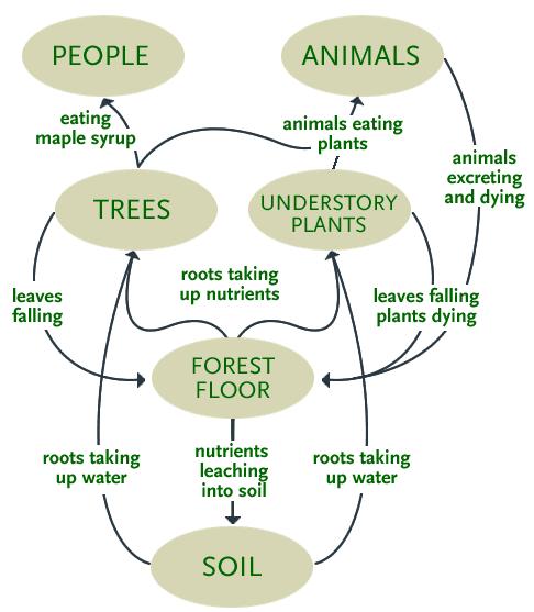 lovescience: Types of Ecosystem