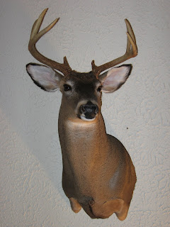 Whitetail Studio: More buck mounts