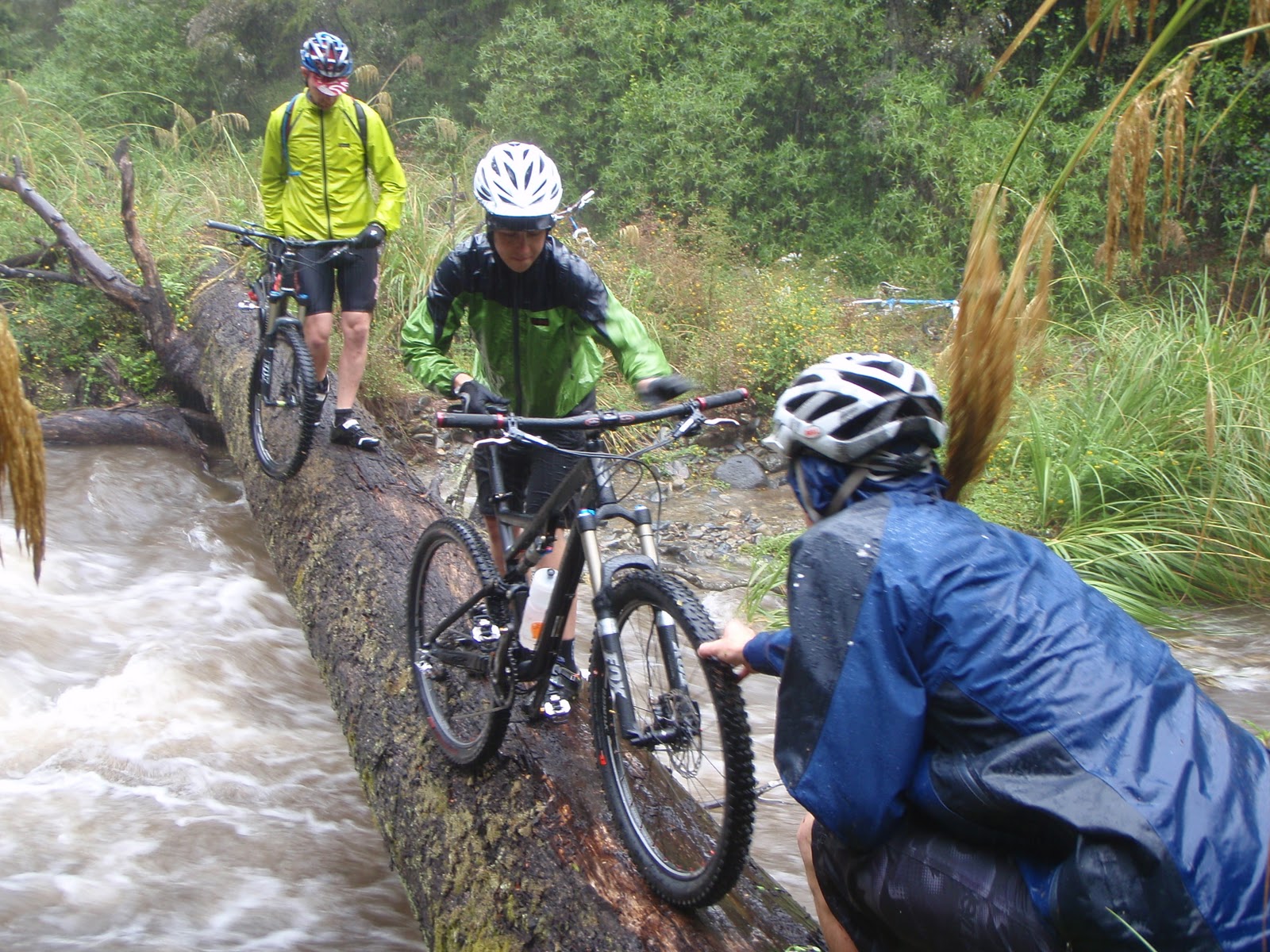 Sifter Goes (Bike) Riding: Gorgeous Tree Trunk Gorge