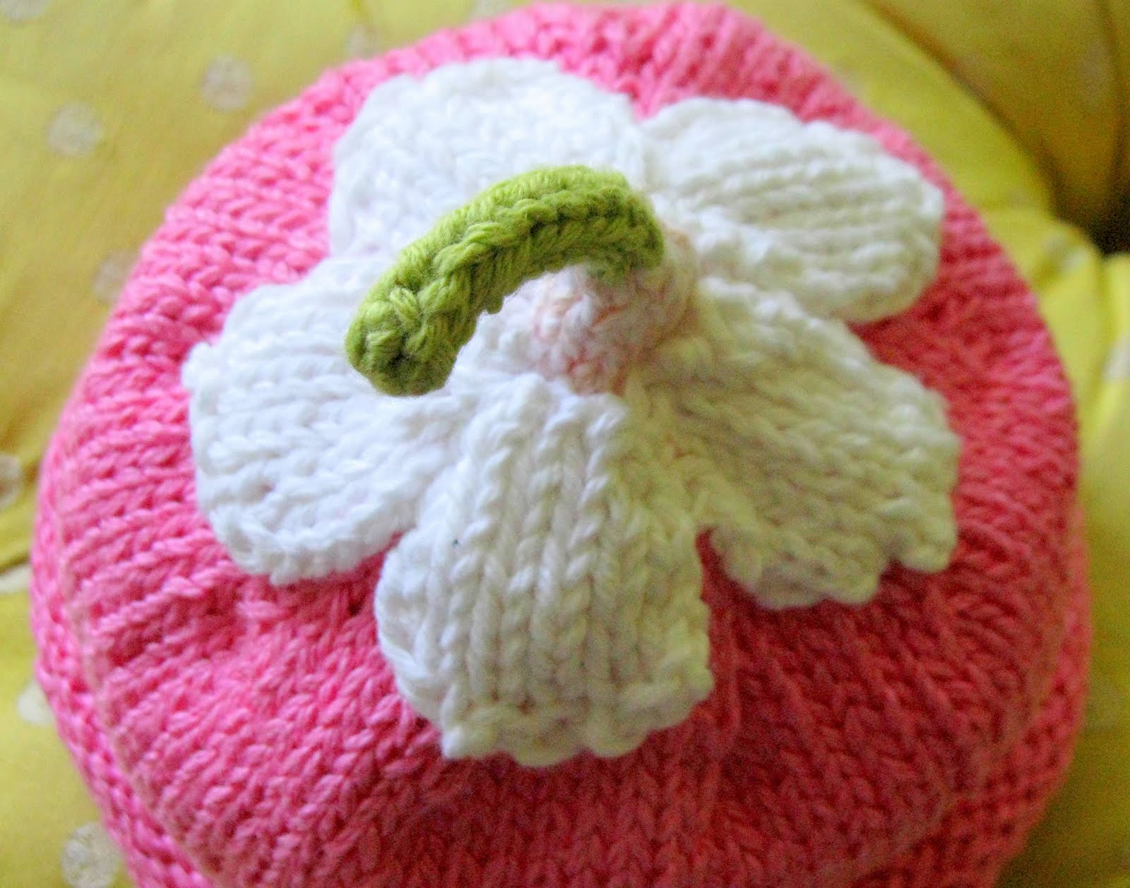 A Schott Of Class Itty Bitty Cuteness