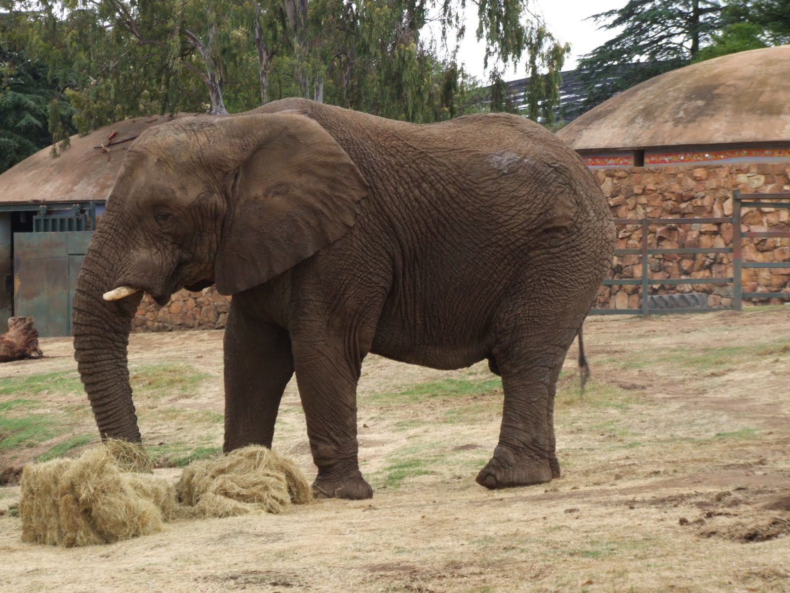 Rust-Ter-Vaal Community News