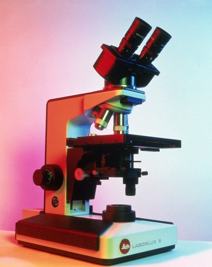 Mundo Microscópico: Bem Vindos ao Nosso Mundo Microscópico!