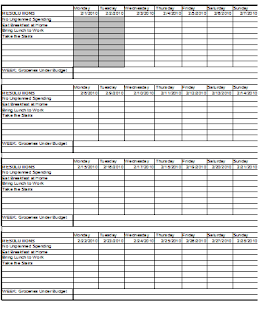 Unapologetically Fat: Happiness Tools: Resolution Charts and Mini-Journals