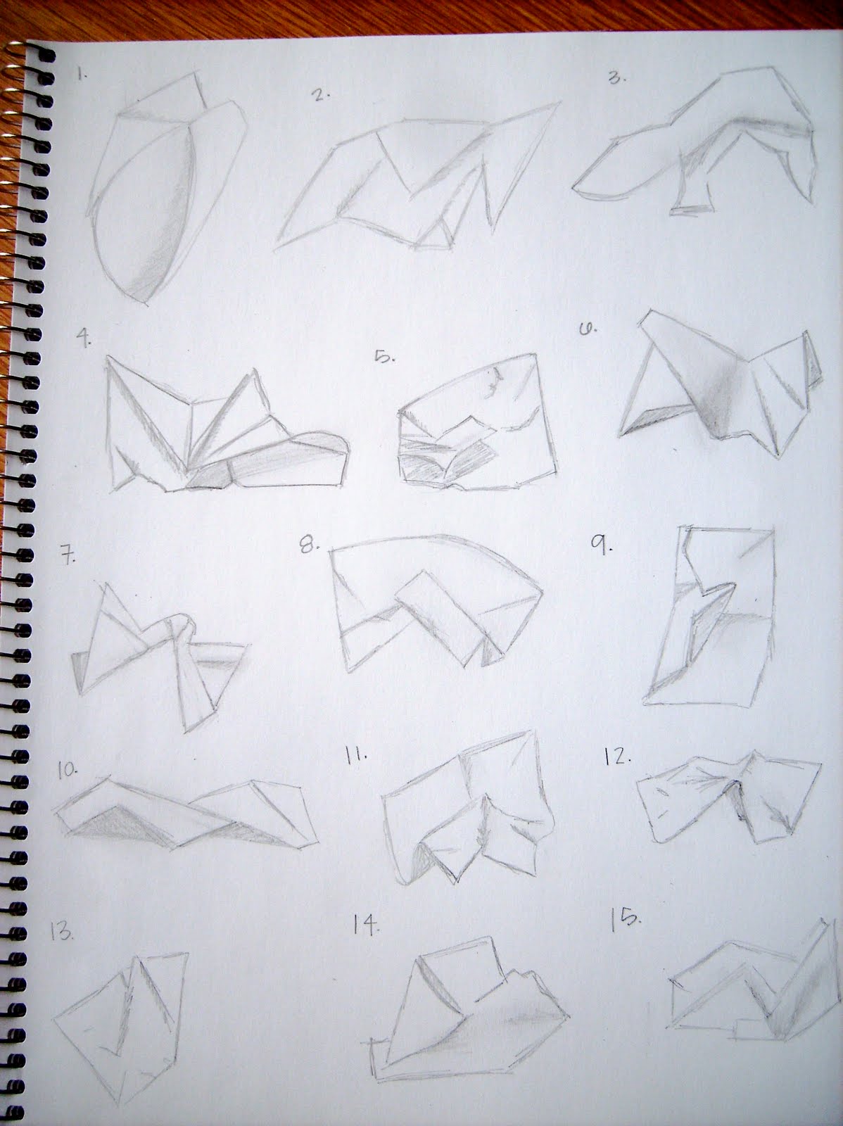 Cara Van Blog-enburg: Folding Paper