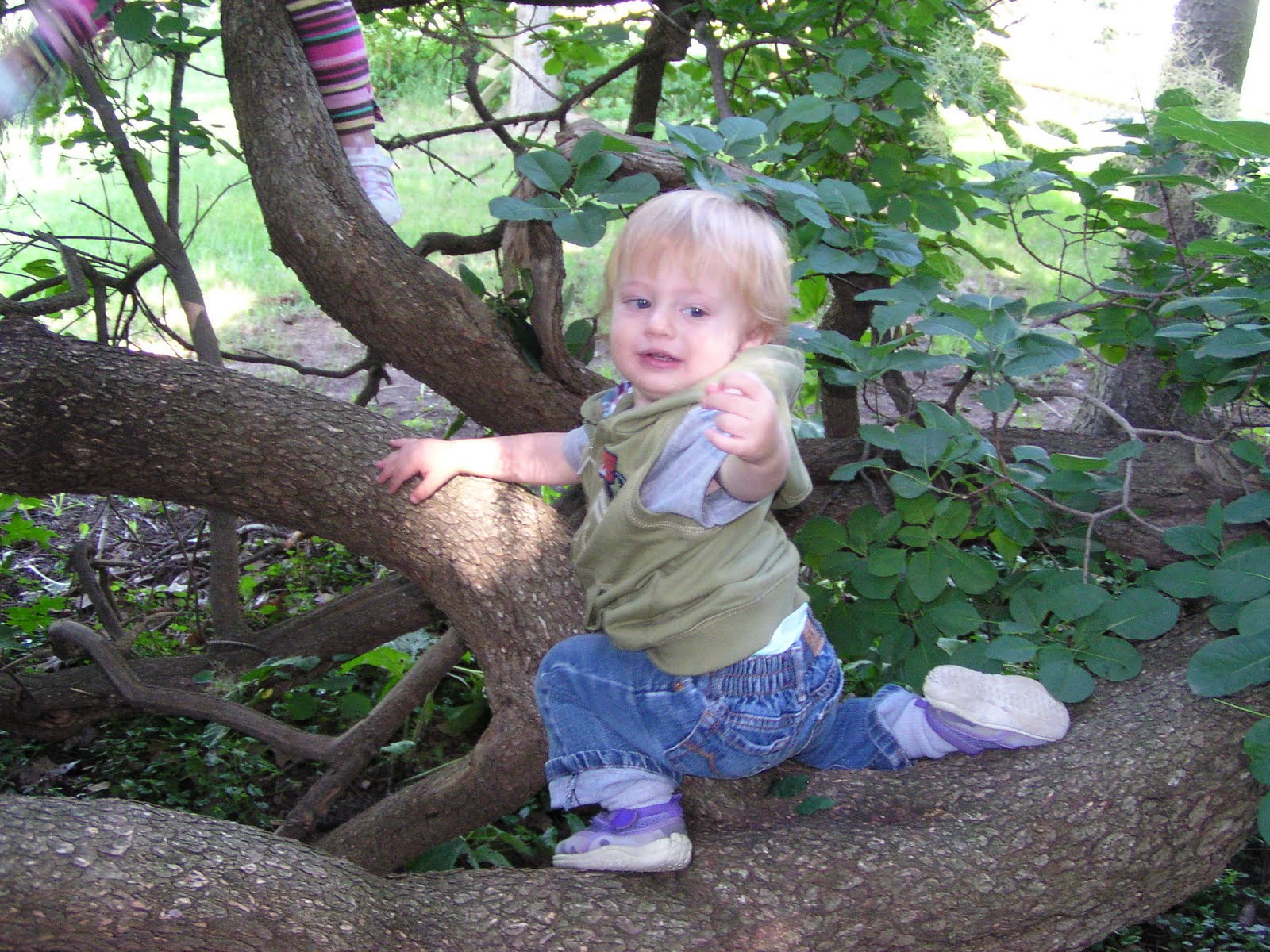 Shirley's World: The Child Tree, Show & Tell