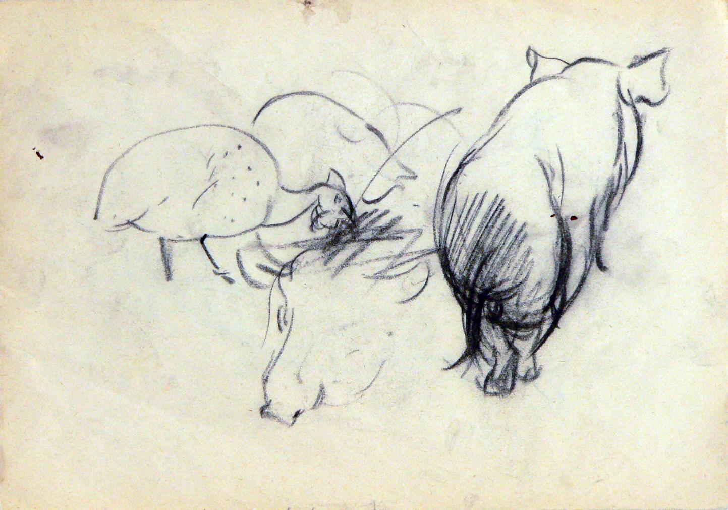 PORKOLÁB MAGDOLNA: Malacos rajzok