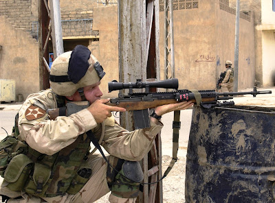 Obaid-Top Guns: M14 DMR Rifle