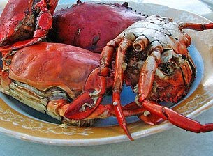 Philippine Alimango and Hipon: ALIMANGO and HIPON for SALE