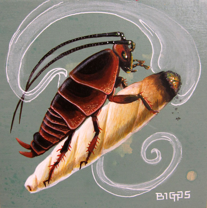 Biggs Blog: So much crazy stuff!