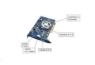 pcpi vallecas1: Partes de la tarjeta gráfica