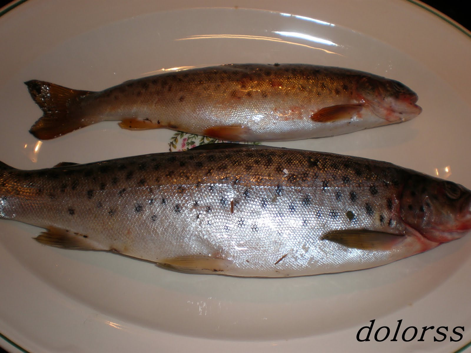 Blog de cuina de la dolorss: noviembre 2009