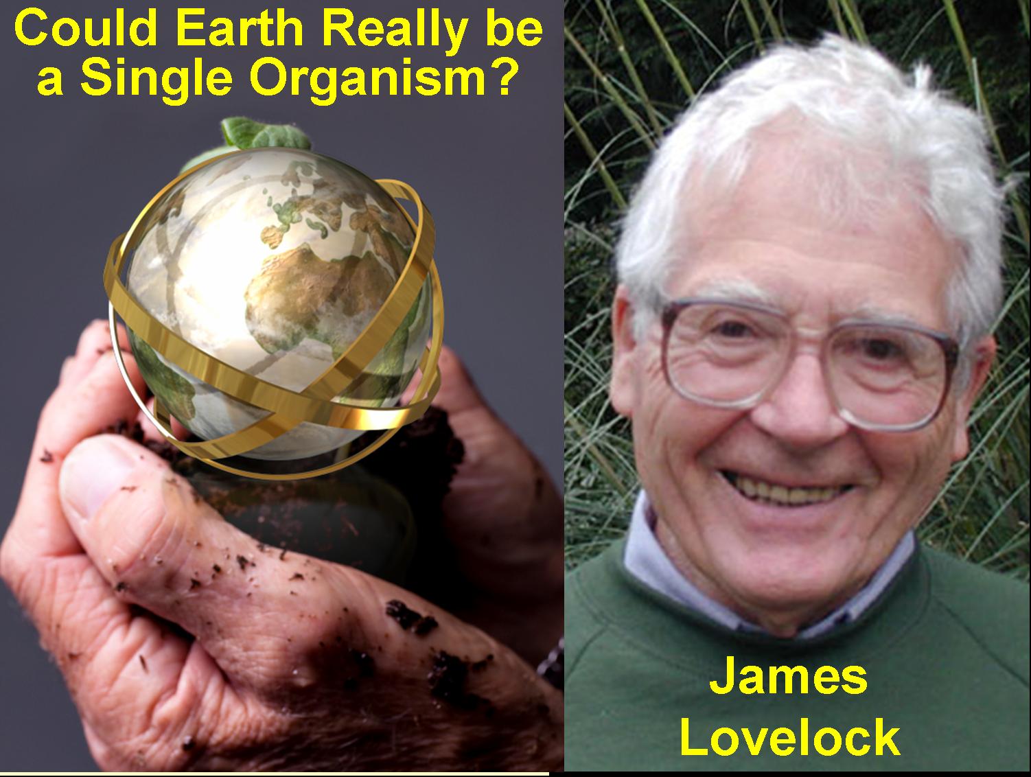 The Virtual Philosophy Club: The Gaia Hypothesis - Three Levels of ...