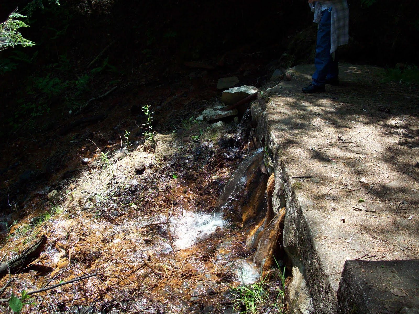 Summer of the Vermont Day Trip: Brunswick Springs Pictures (finally)