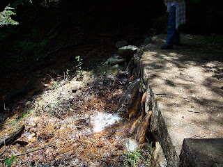 Summer of the Vermont Day Trip