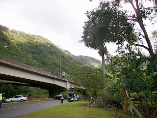 My Rough Draft: Halawa Valley Heiau