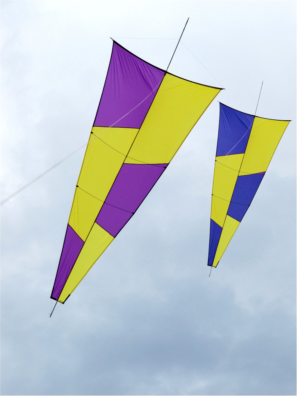 News from Windswept Kites: Ceewan's Pointer Kites!!!! Special size and ...