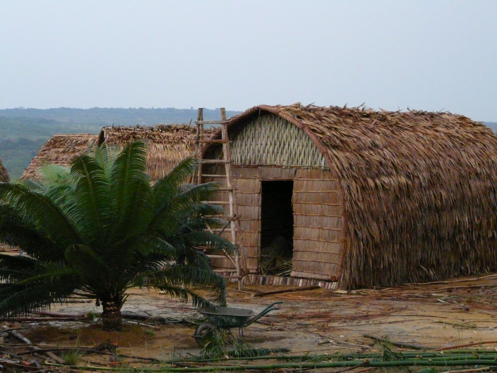 Bienvenue à Port gentil: Séjour à Léconi