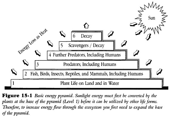 John's Corner of the World: "Weird" Science #5: Microbes and Soil