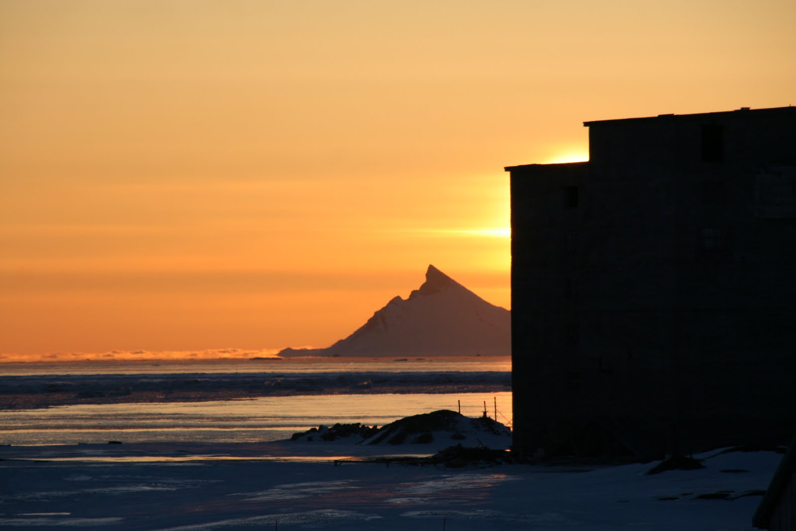 Svalbardliv: Midnattssol!