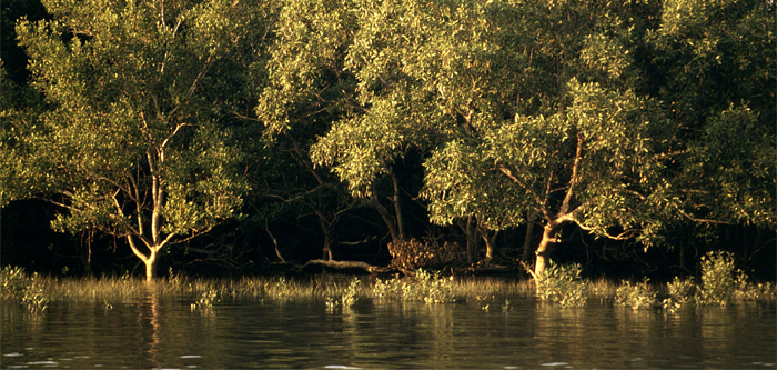 TOURISM NEWS: Sunderbans
