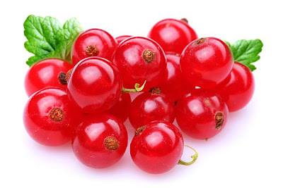 Consultanta Agricola: Cultura Coacazelor - Ep1: De ce coacaze?