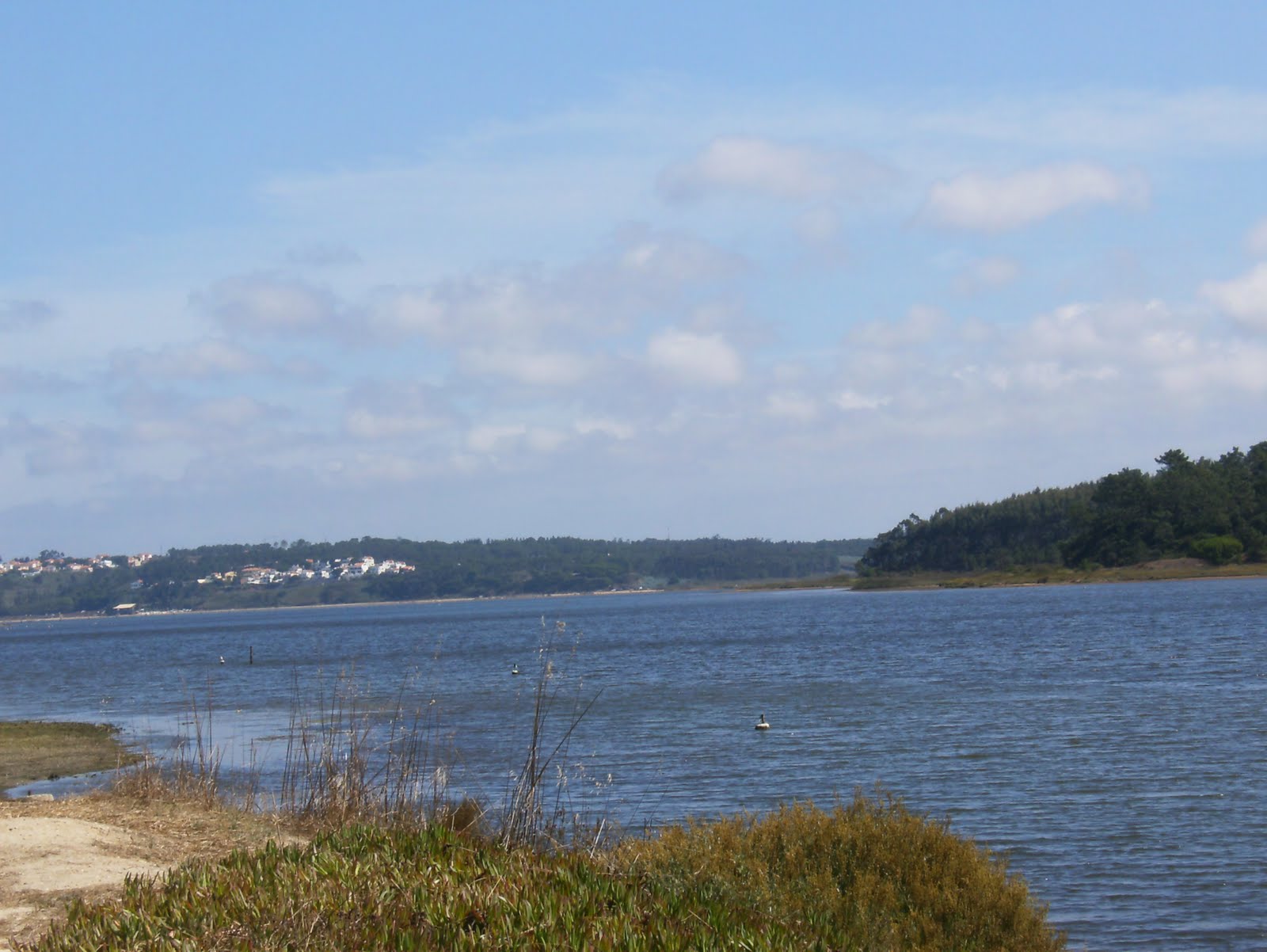 ♥ Dias Diferentes ♥: Lagoa de Óbidos