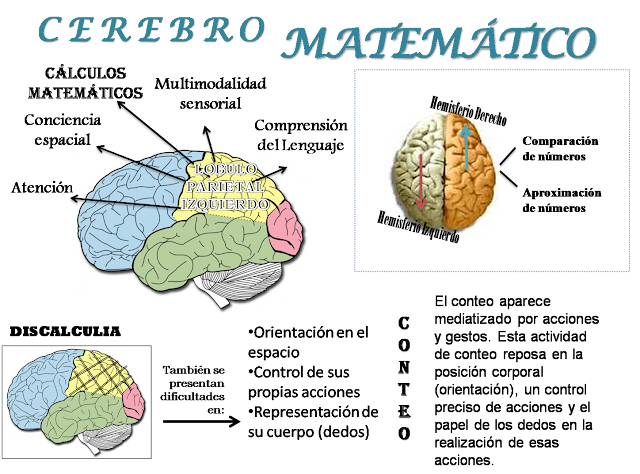 LOGICOMATEMATICOPM: CEREBRO MATEMÁTICO