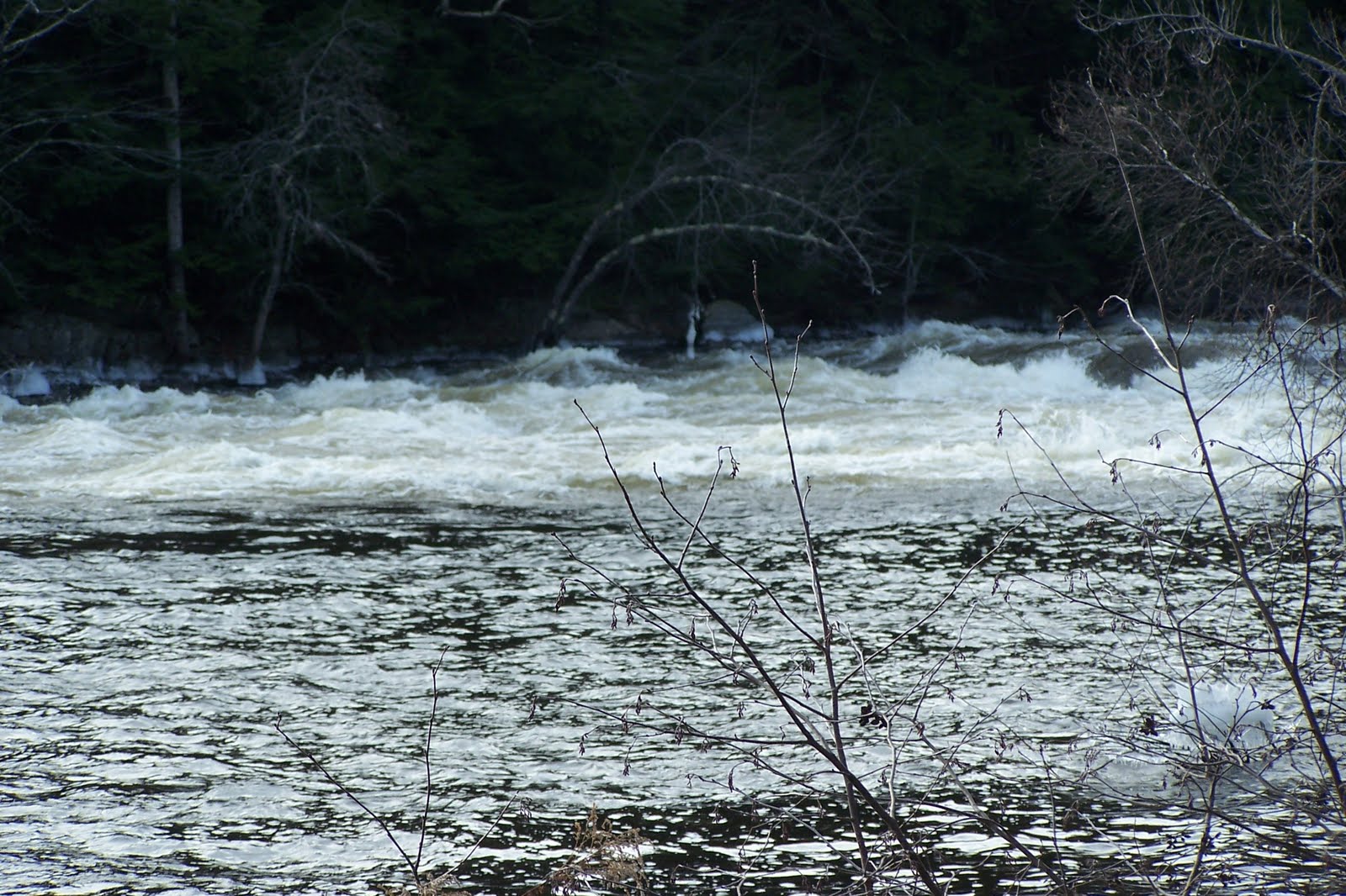 Moxie's Great Adventures: Steep Falls