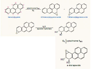 ART OF SCIENCE: Benzo[a]pyrene Carcinogenic
