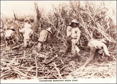 Fil-Am Experiences 1930-1945: Hawaiian Sugar Plantation Association ...