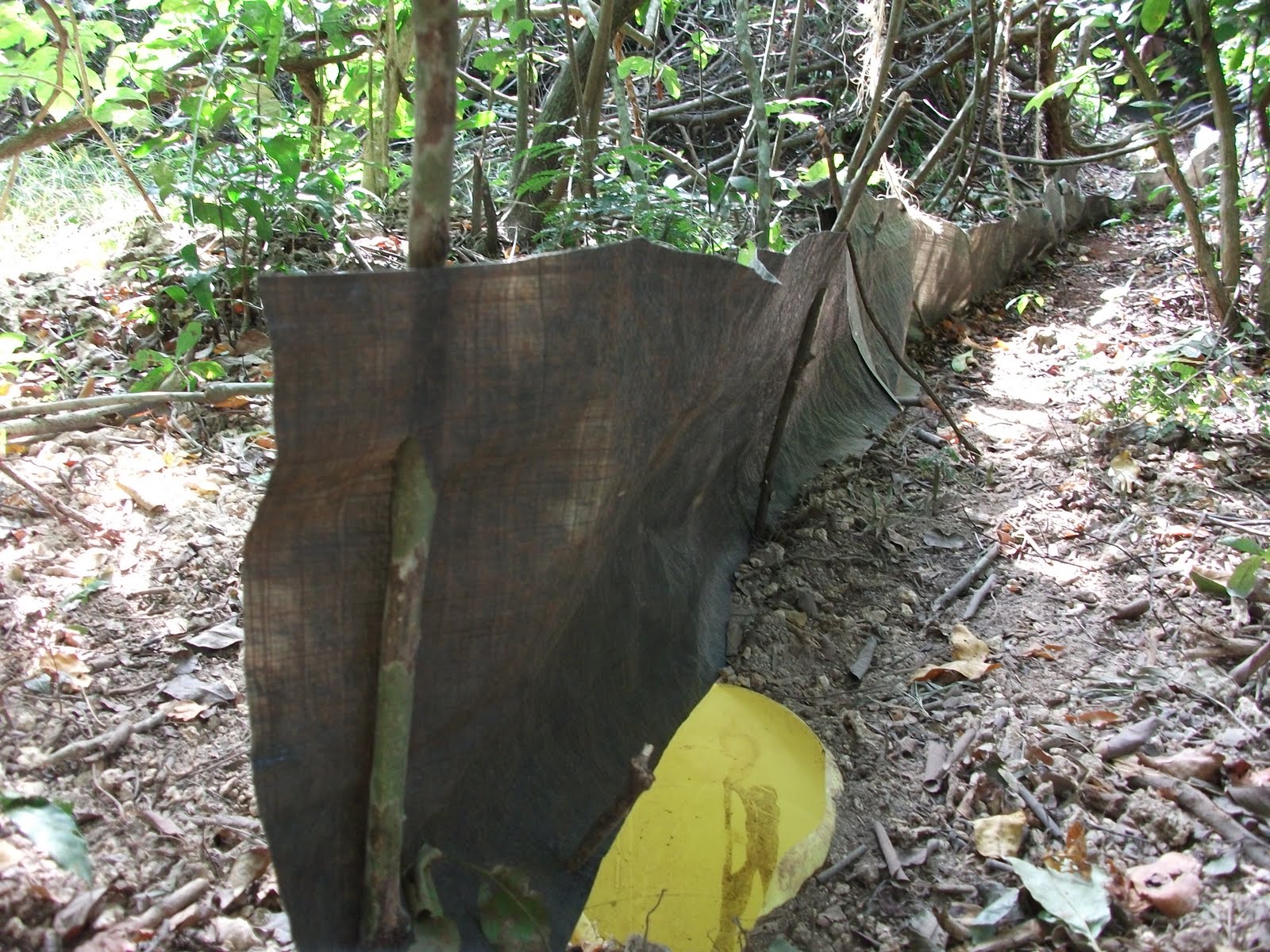 Marine Mammal, Primate and Coastal Habitat Conservation in Kenya ...