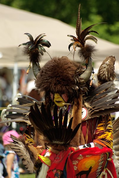 M5P: First Nations Mississauga Indians - Scuggog Island in Port Perry