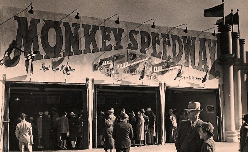 Twisted Vintage: Monkey Speedway