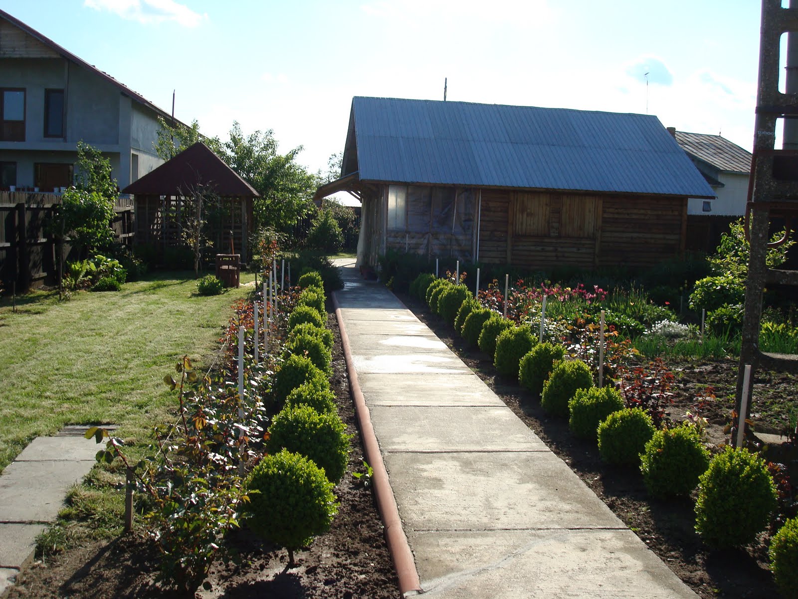 Floarea -bunica: La gradina