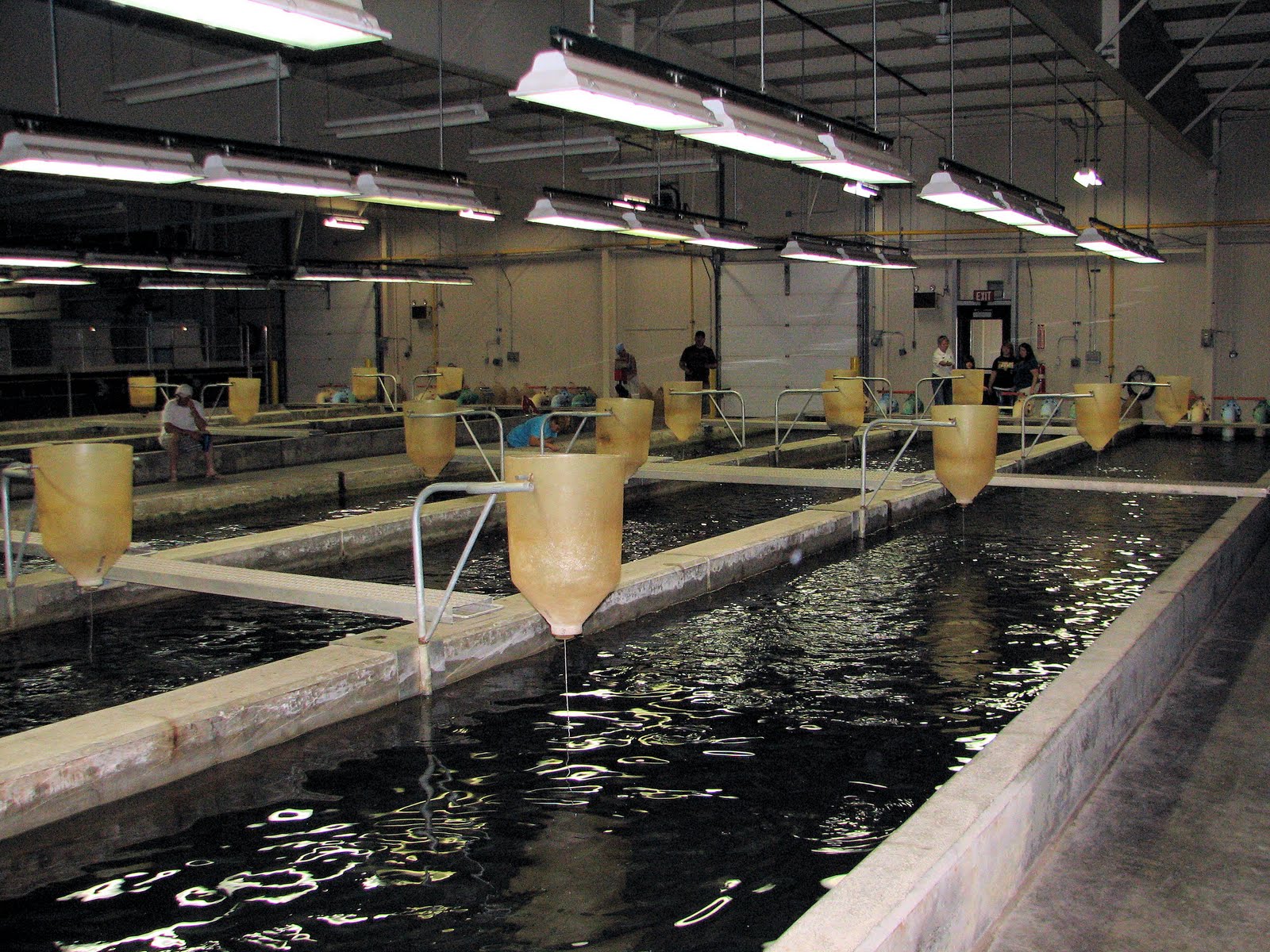 Pensive? No, Just Thinking: Labor Day Weekend, Day 2: Garrison Dam Nat ...