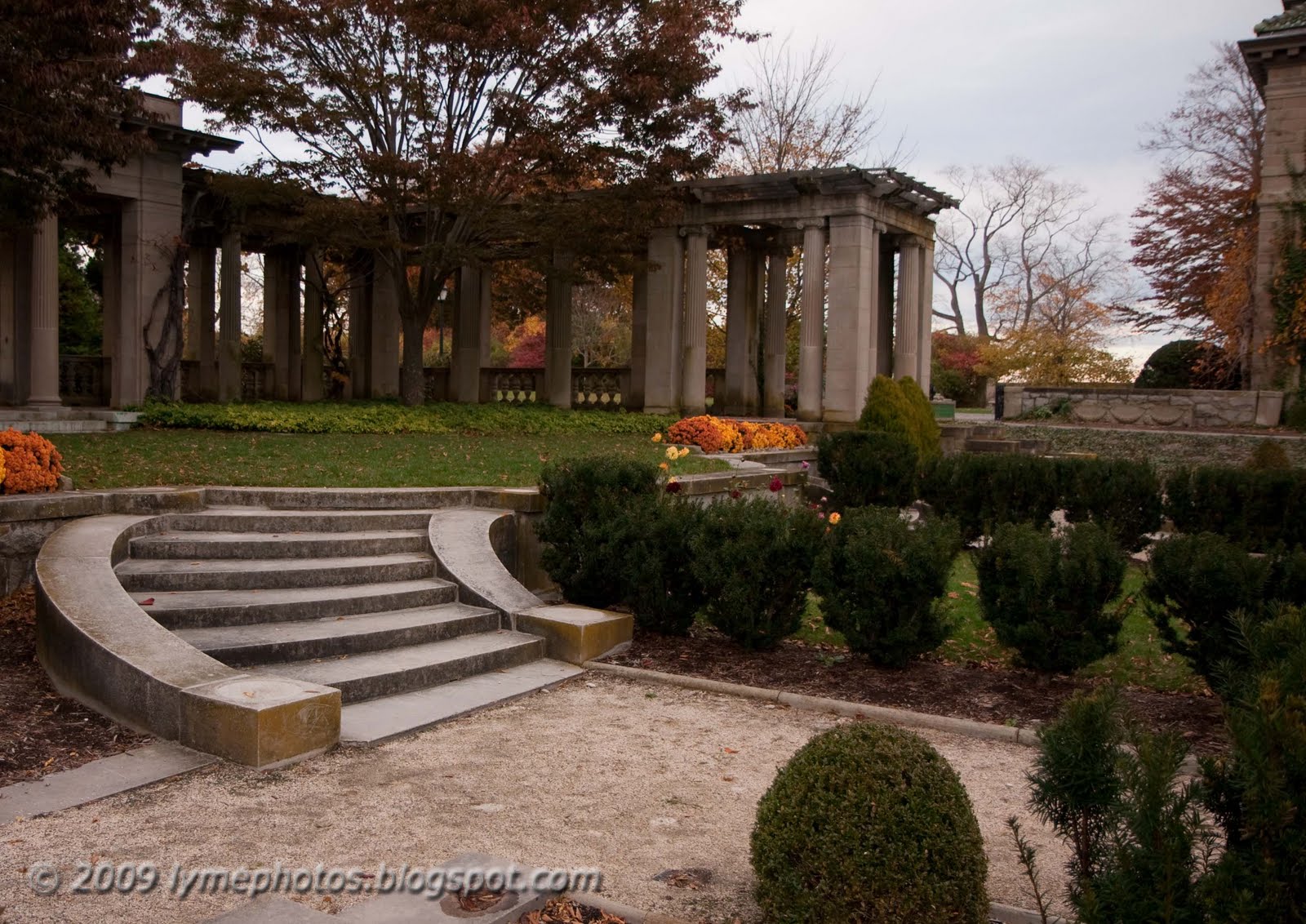 Lyme Photo Blog: Steps at Harkness Park