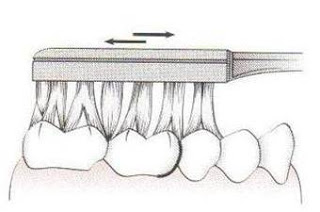 IMU ORAL HEALTH COMMITTEE: IMPORTANCE AND VARIOUS TOOTH BRUSHING TECHNIQUES