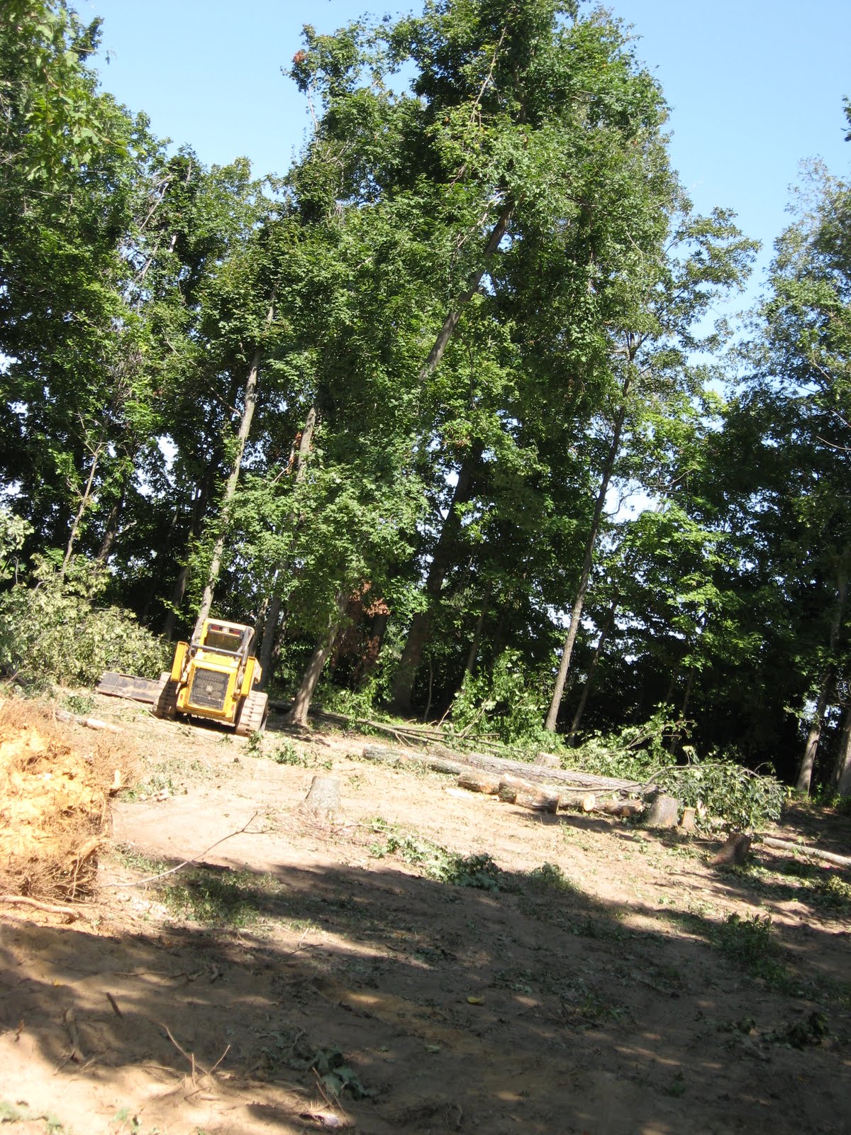 The Three Mc's: Logging our Trees......TiMbEr..........