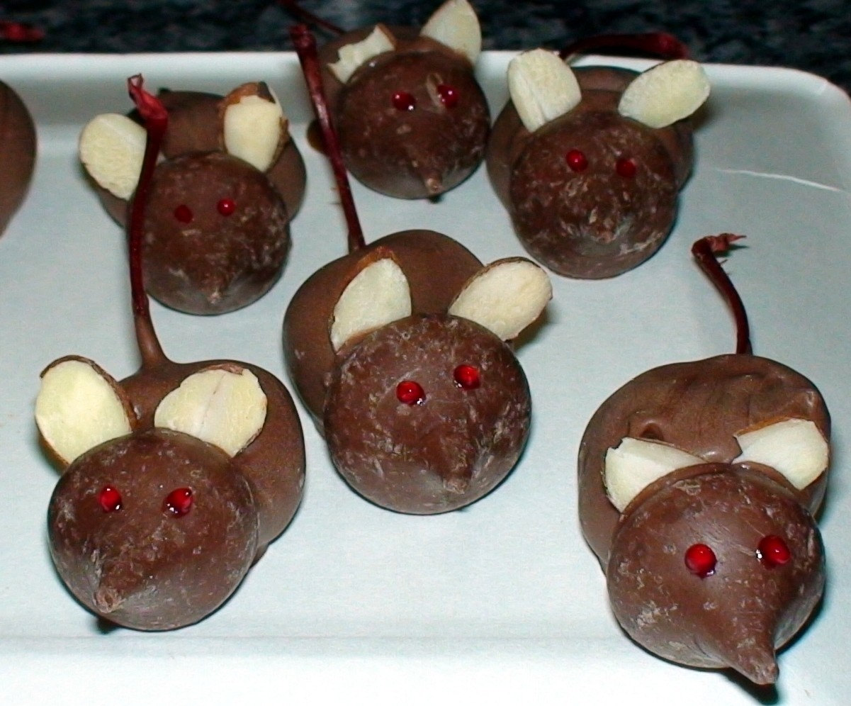 Smart Cooking: Nancy's Chocolate Mice