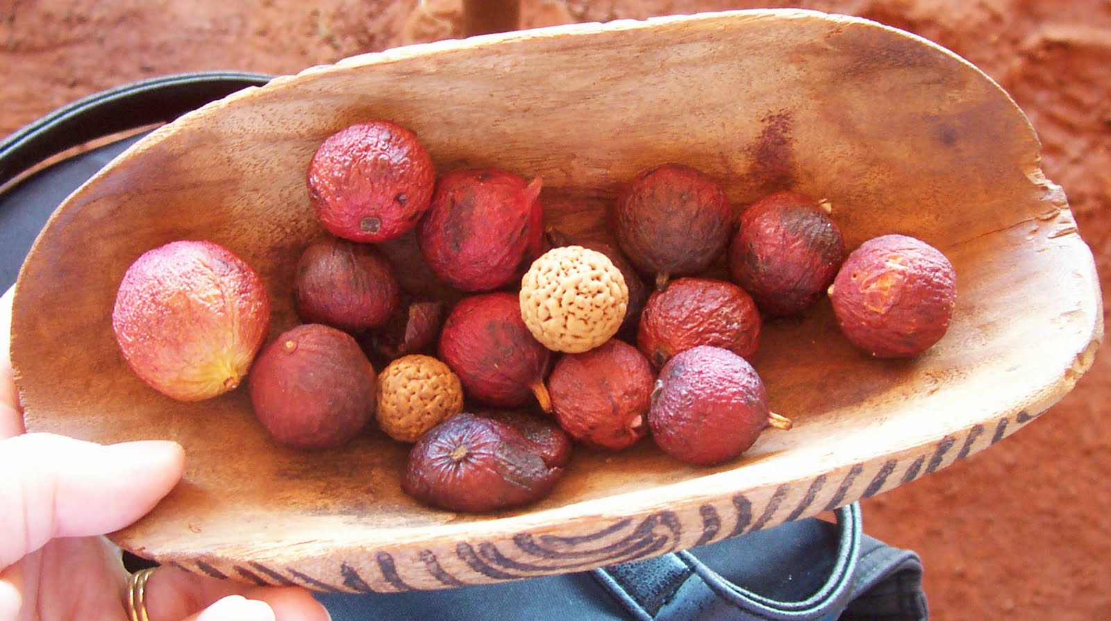 Two Cheeky Monkeys: My Northern Territory Holiday - Bush Food