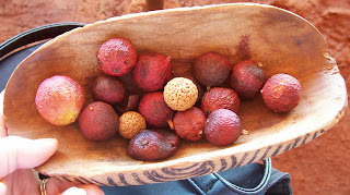 Two Cheeky Monkeys: My Northern Territory Holiday - Bush Food