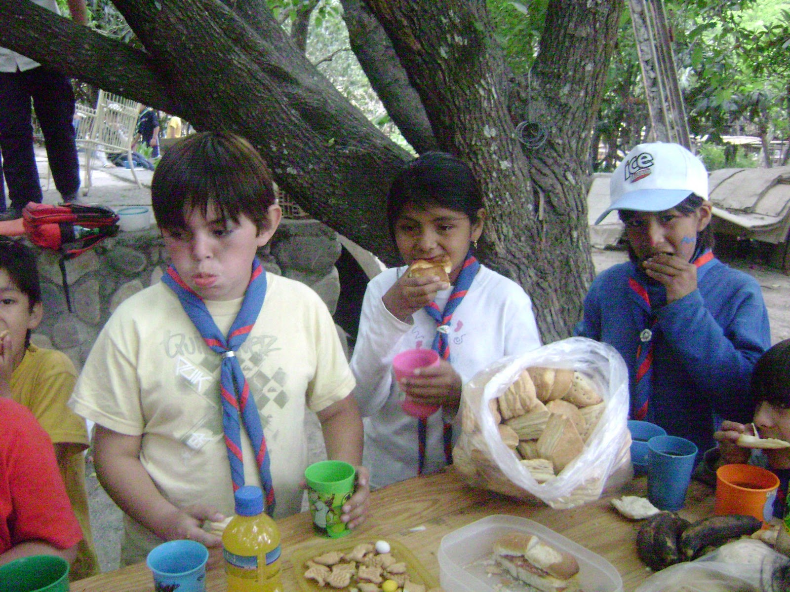 Grupo Scout Nº 627 "Natividad del Señor": Mejor Foto Scout Comiendo