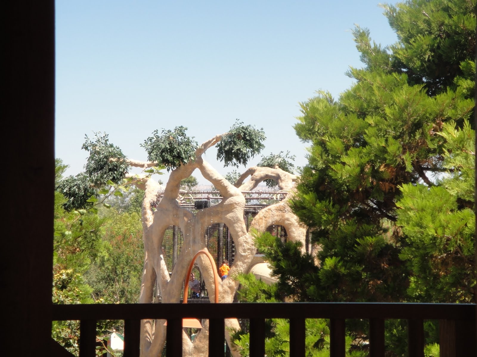 Living Livelier: Circus Trees