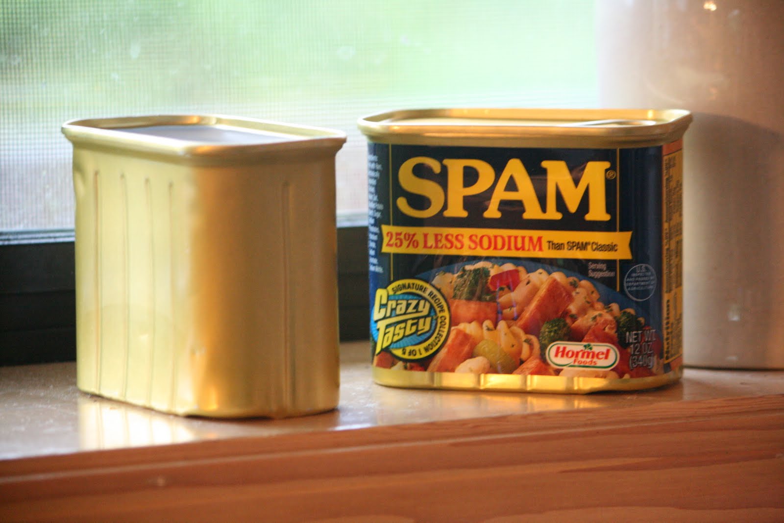 A Creative Operation: Spam Can Planter