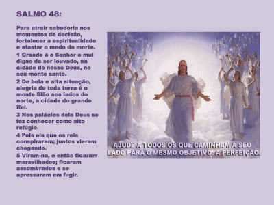 BELAS FRASES E GRAVURAS