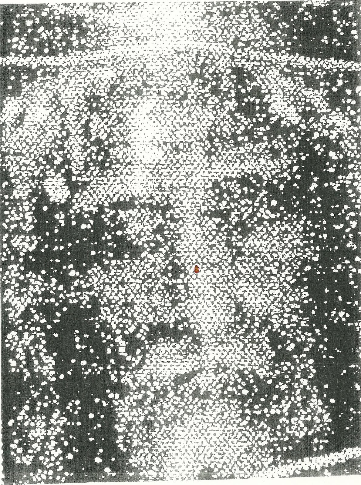 Seeing Images of God: More "Cosmic Stickman" and the Shroud