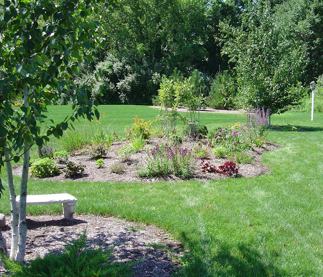 Plant Inventory at 20 Timothy : Birch Garden