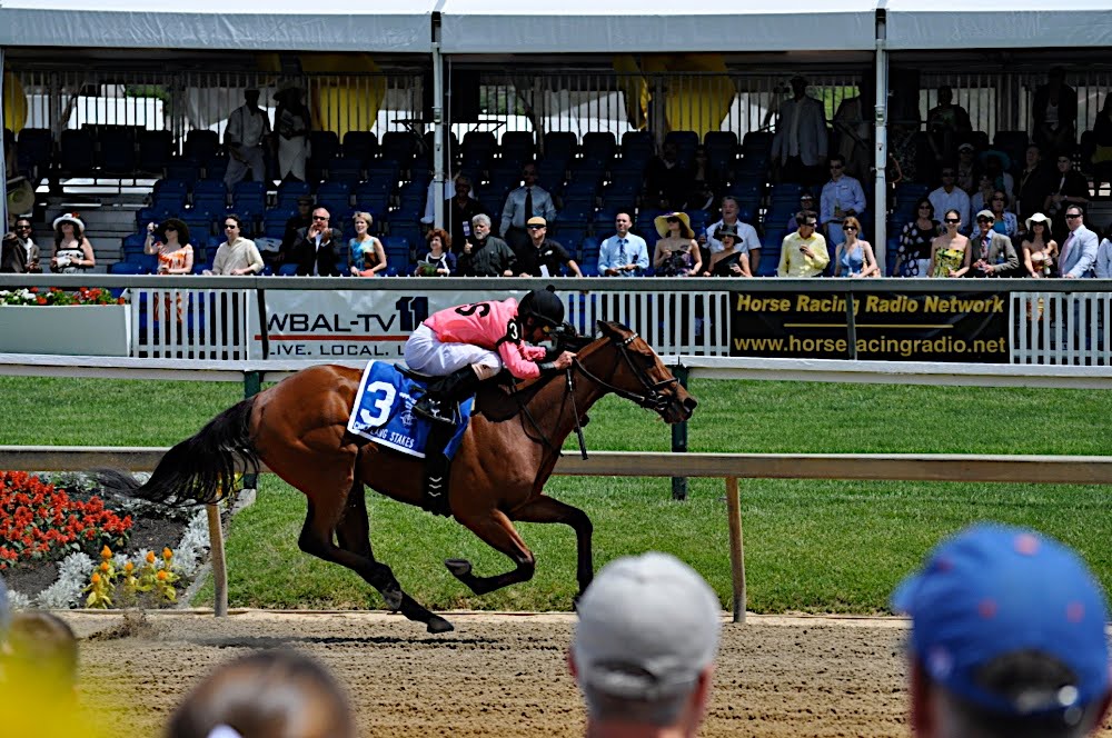 Two DC: The Preakness at Pimlico