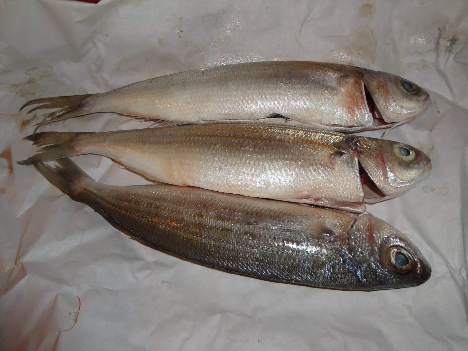 Le franc buveur: W le vope!